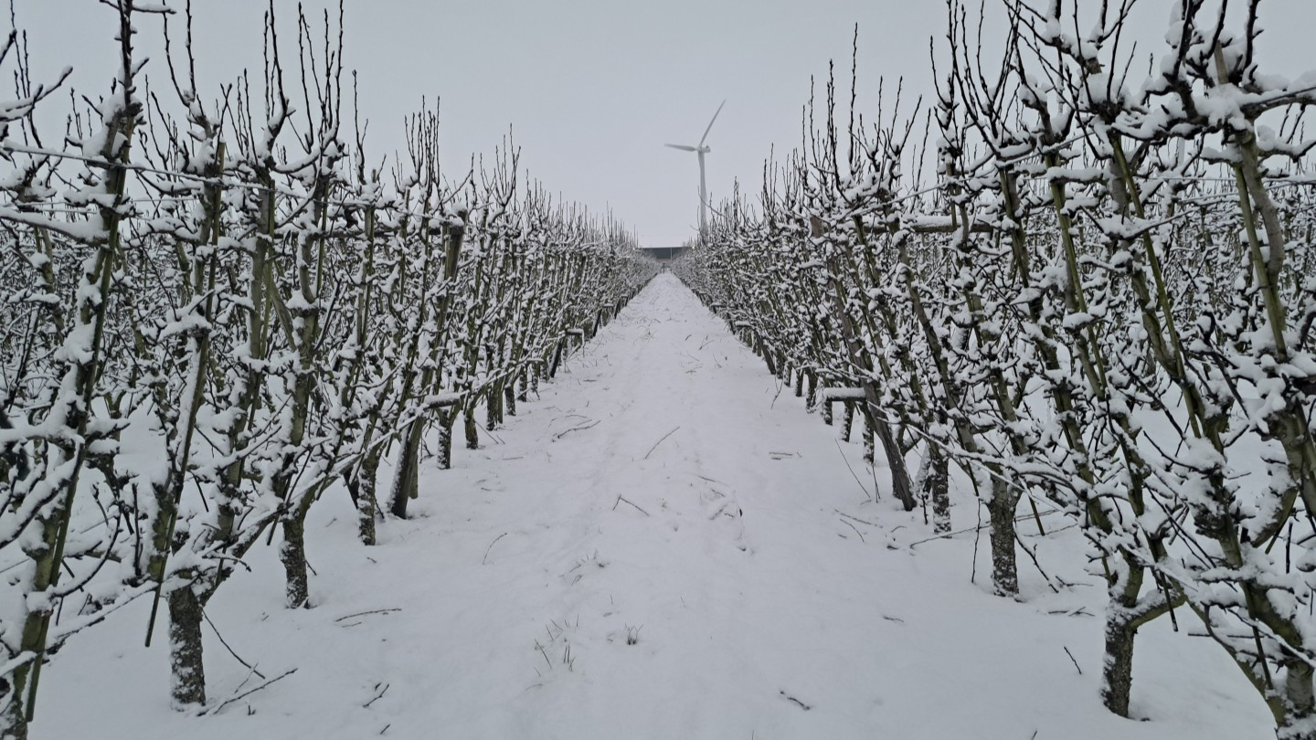 Omroep Flevoland - Nieuws - Eerste werkweek januari volop winterweer
