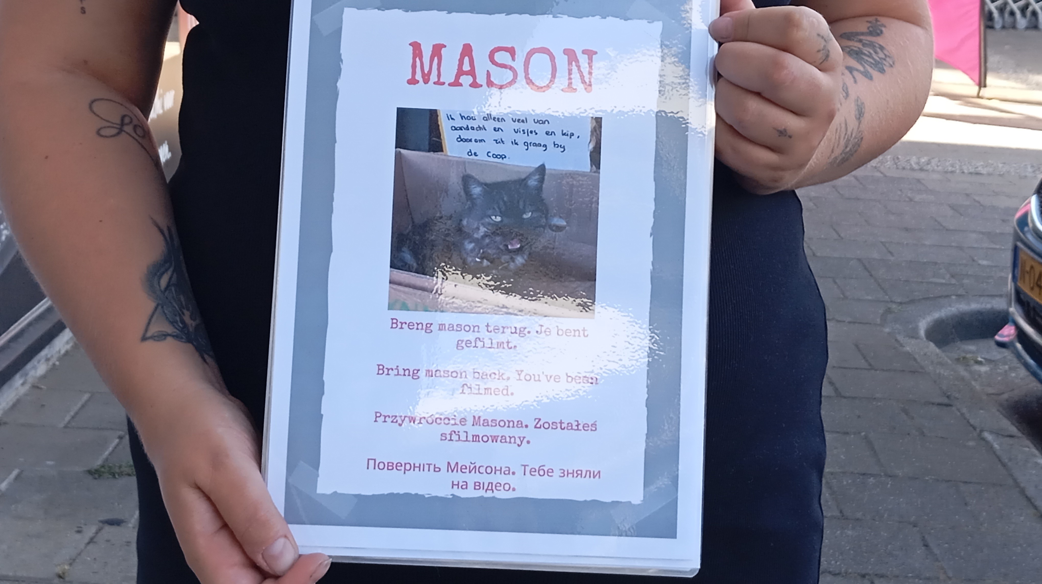 Omroep Flevoland - Nieuws - Wie heeft de populairste kat van Emmeloord meegenomen?