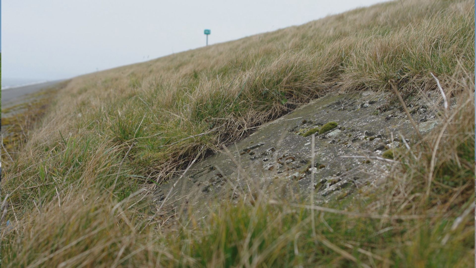 Omroep Flevoland - Nieuws - Dijk die Flevoland met Noord-Holland ...