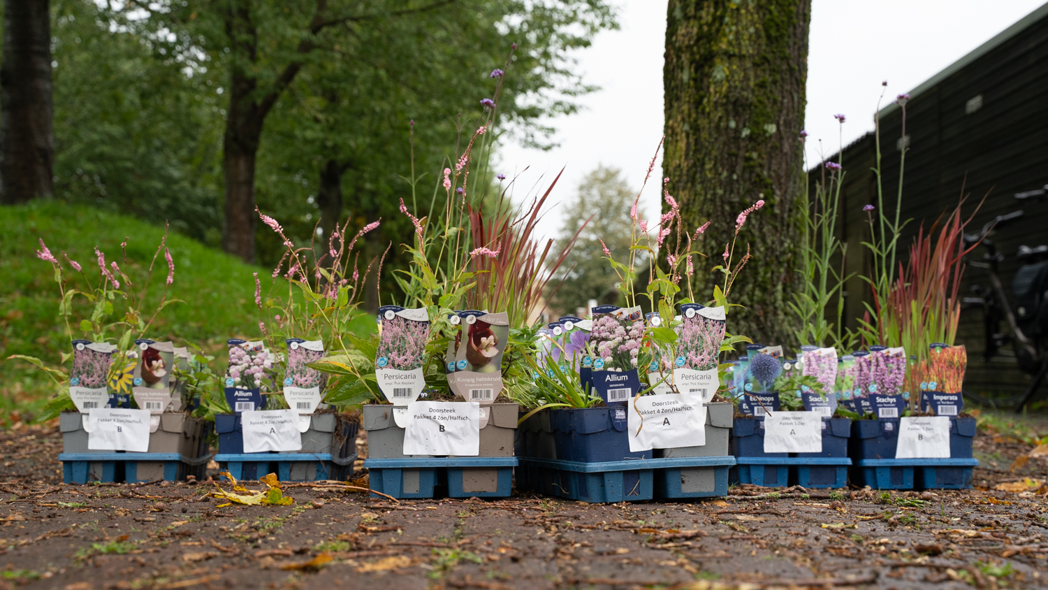 Omroep Flevoland - Nieuws - Straten in Zeewolde gaan strijd aan met ...