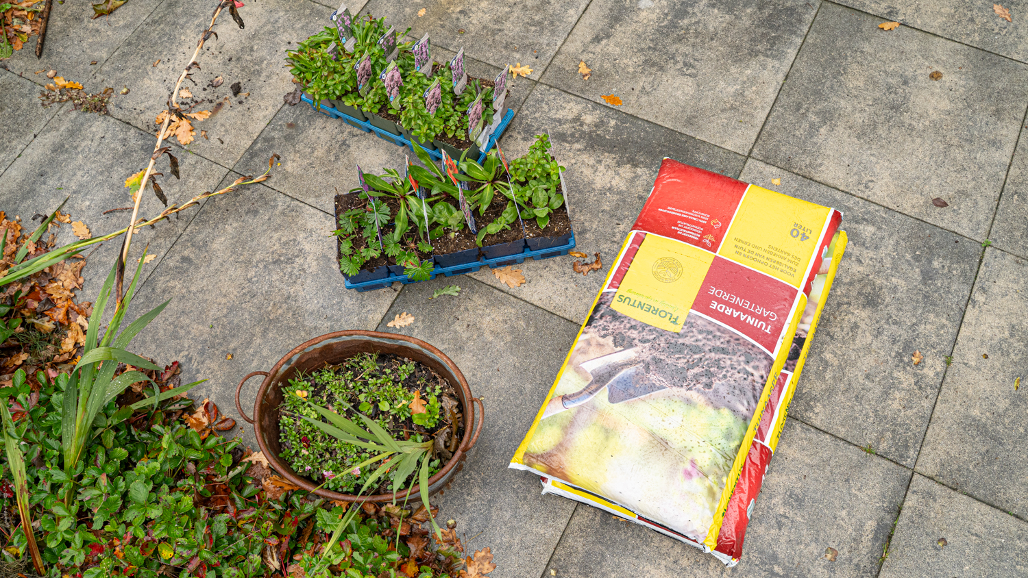 Omroep Flevoland - Nieuws - Straten in Zeewolde gaan strijd aan met ...