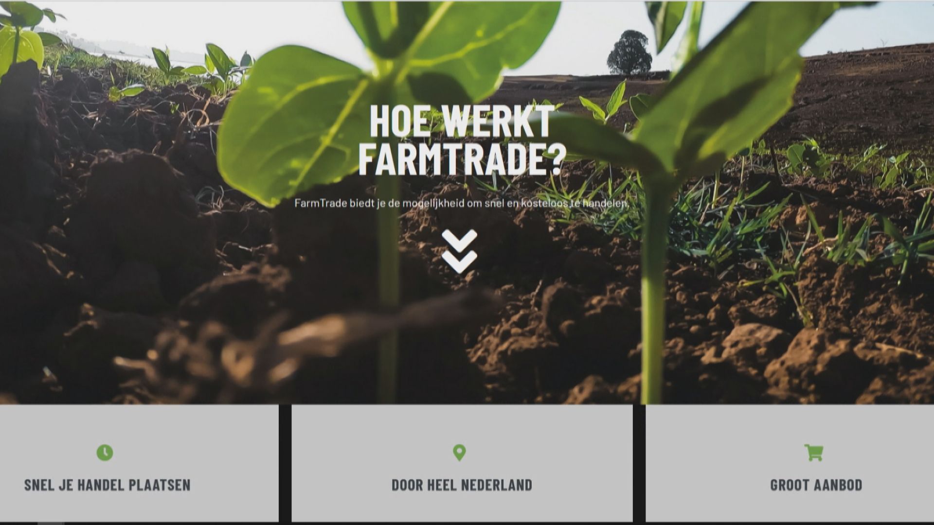 Omroep Flevoland - Nieuws - FarmTrade-app uit Emmeloord verovert ...