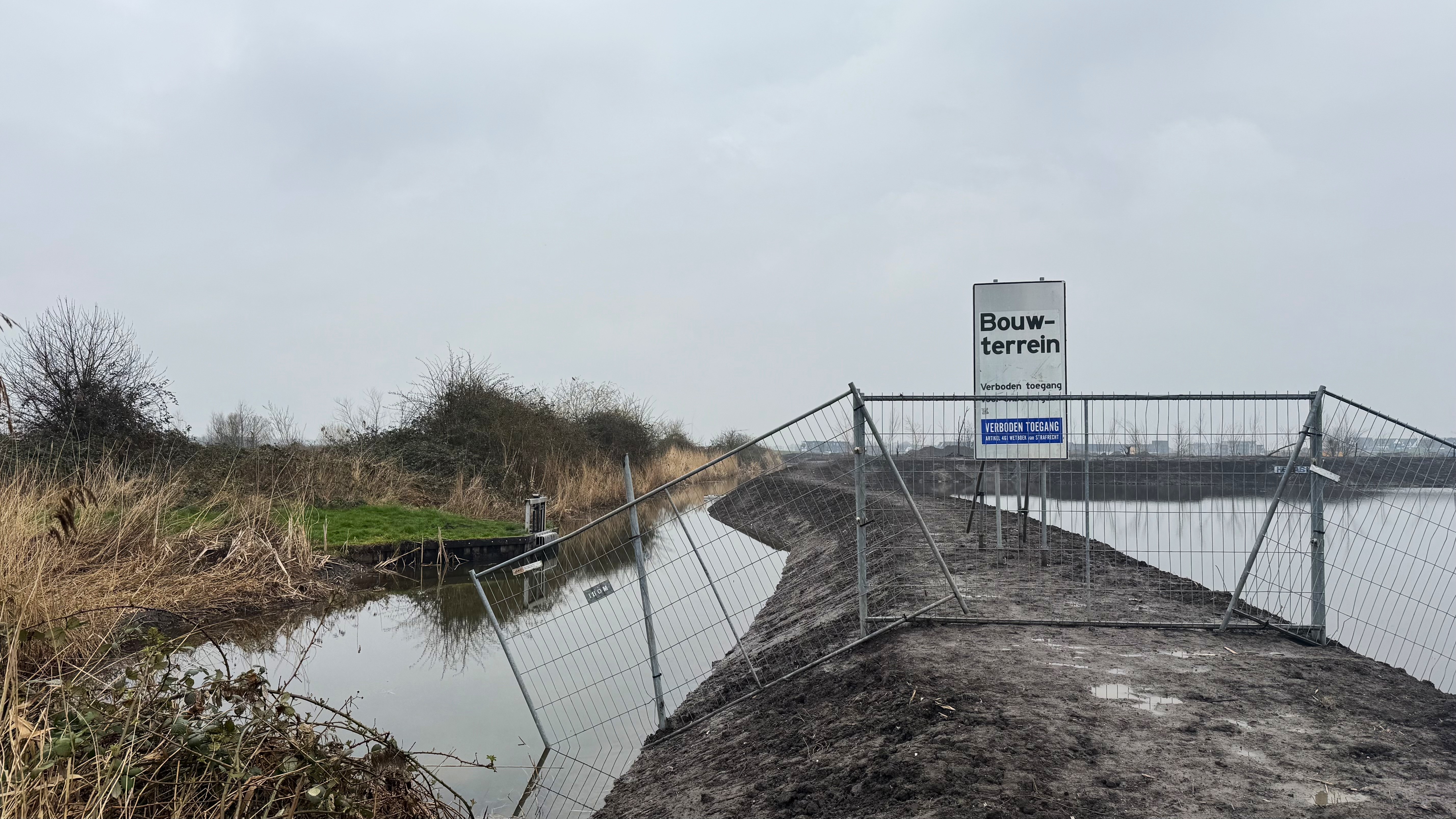 Omroep Flevoland - Nieuws - Bever dwingt gemeente tot bouw nieuwe dam ...